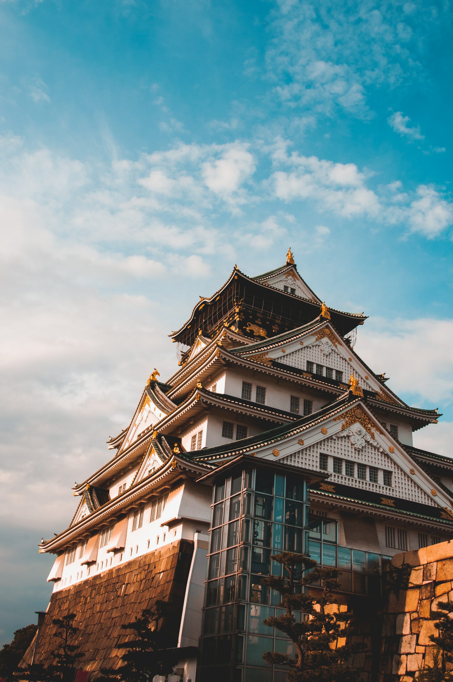 Cosa Comprare a Osaka, 8 consigli super importanti! - Idea Fiorente ...